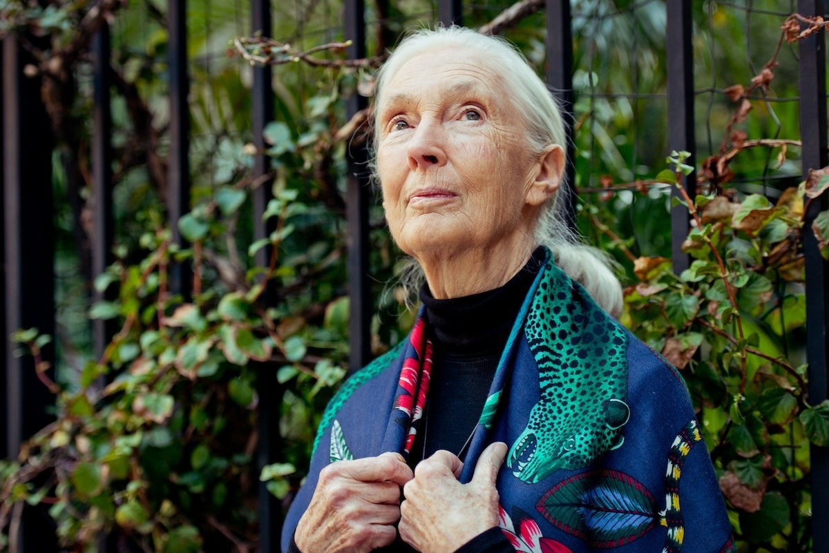 È morta l'attivista e scienziata Jane Goodall - Il Post
