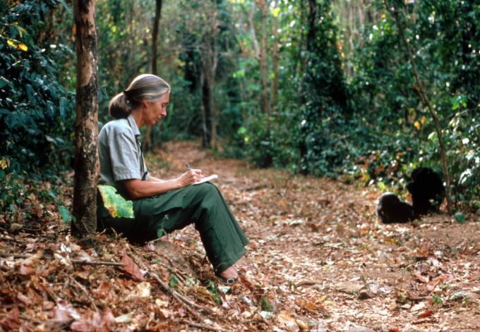 È morta l’attivista e scienziata Jane Goodall - Il Post